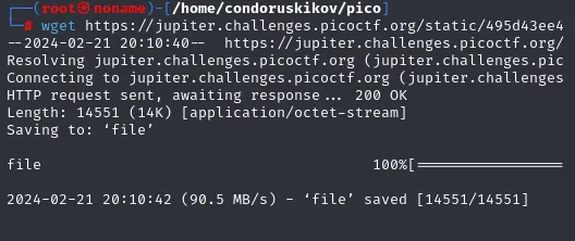 picoCTF — what’s a net cat. what’s a net cat is a pycoGym challenge… | by USKI | Medium