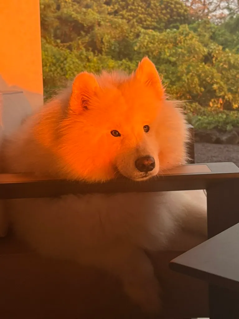 Fuzzy Matching in Python. As a data scientist, one of the most… | by ...