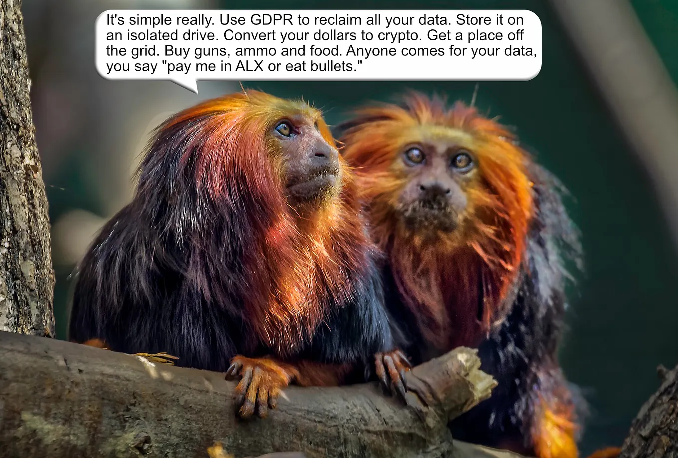GDPR? It’s not a four letter word. It’s not even a word. | by Robin ...