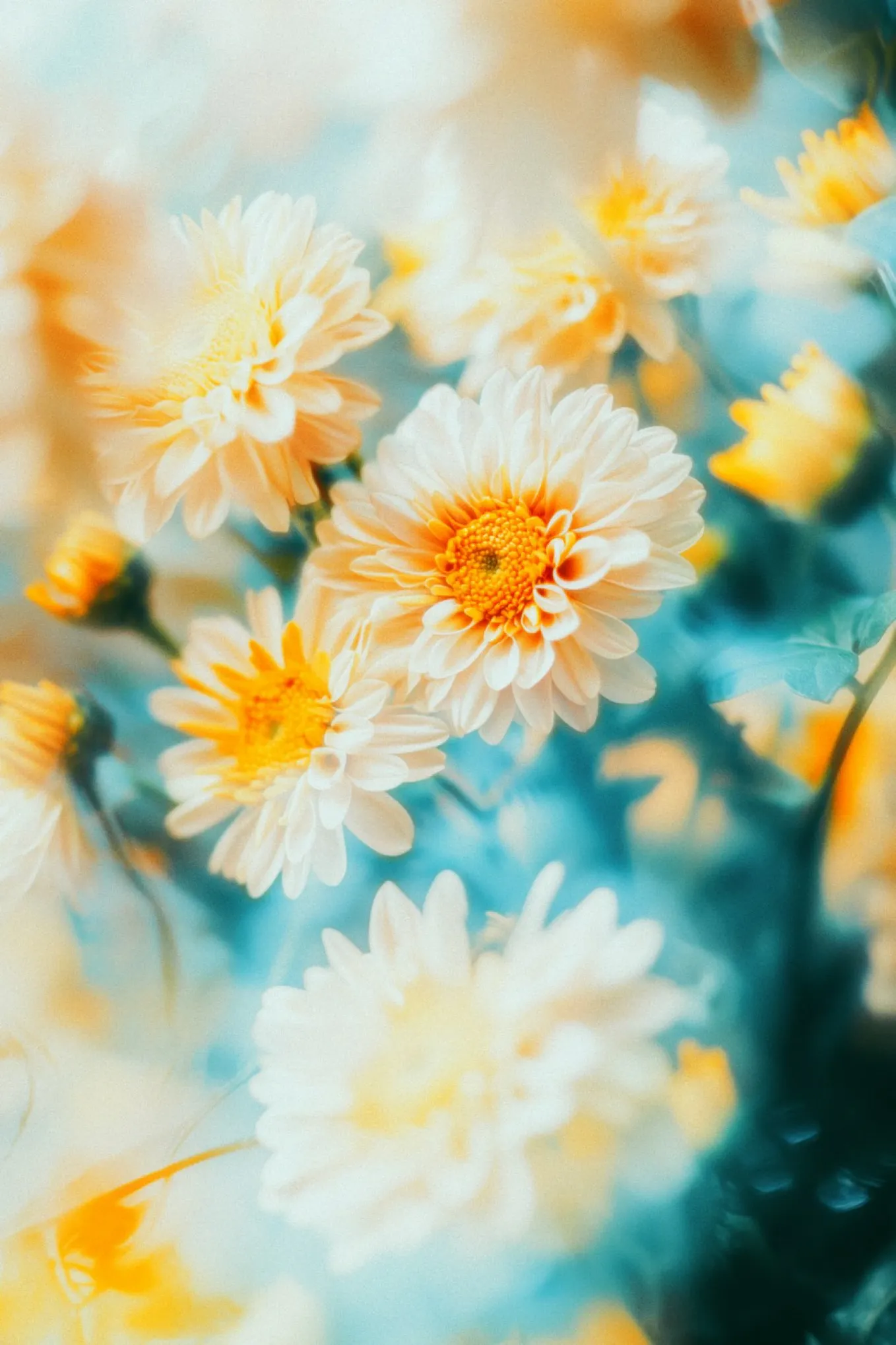 Women Mystics: Their Role in Shaping Spiritual Thought and Practice ...