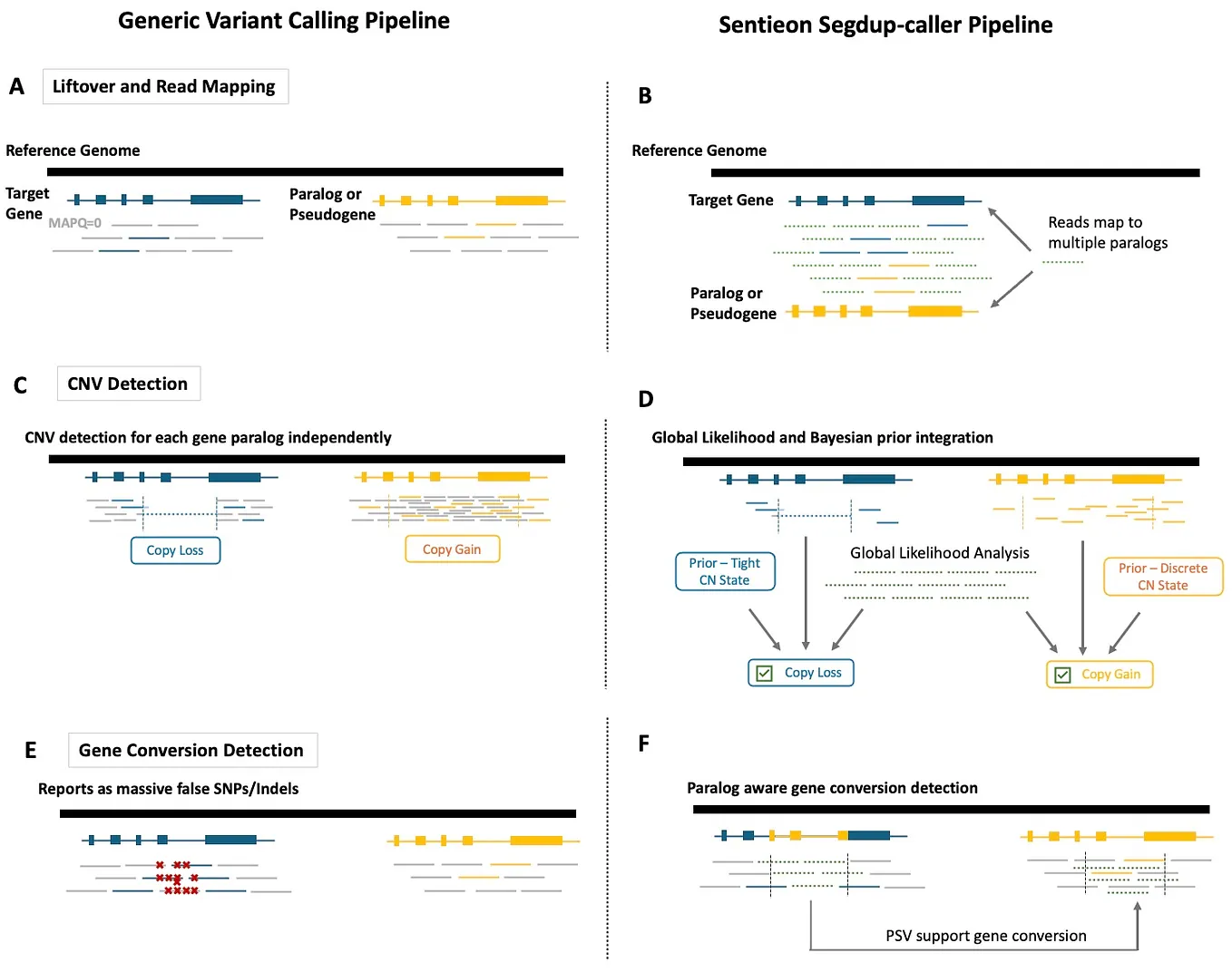 Updated DNAscope LongRead Pipeline with ONT WGS: Fast, Accurate, and ...