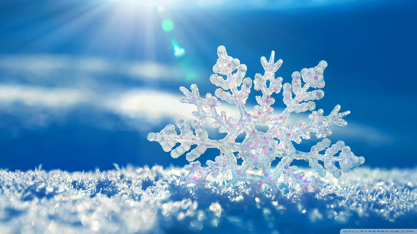 Unstructured Data support in Snowflake | by Paul Horan | Snowflake Builders Blog: Data Engineers ...