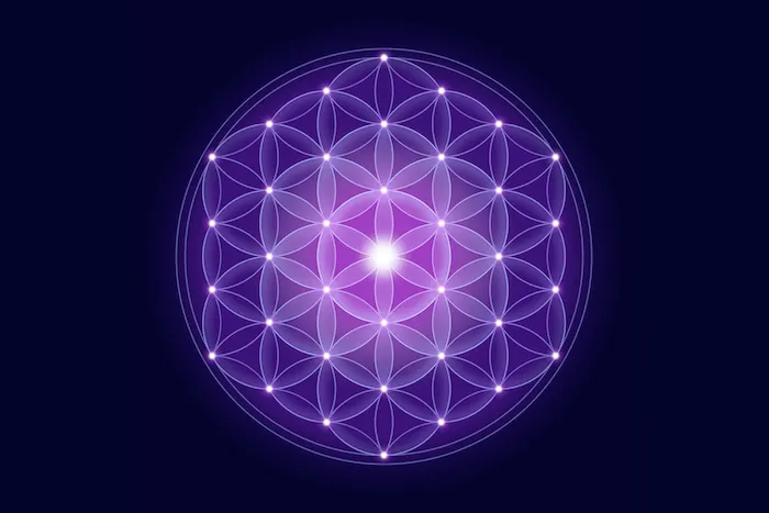 The Misogi Method: A Journey of Purification and Self-Transformation ...