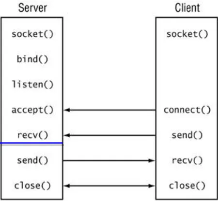 From Sockets and Selectors: Comprehensive Guide to Building a Performant Python Static Web ...
