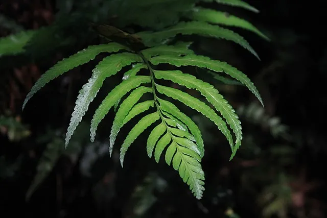 How to load data faster using pyodbc into a MS SQL Server Database | by ...