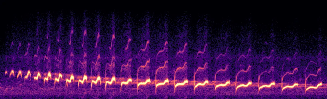 Jupyter Notebooks Vs Python Scripts — Whats The Difference And When To Use Each Python In