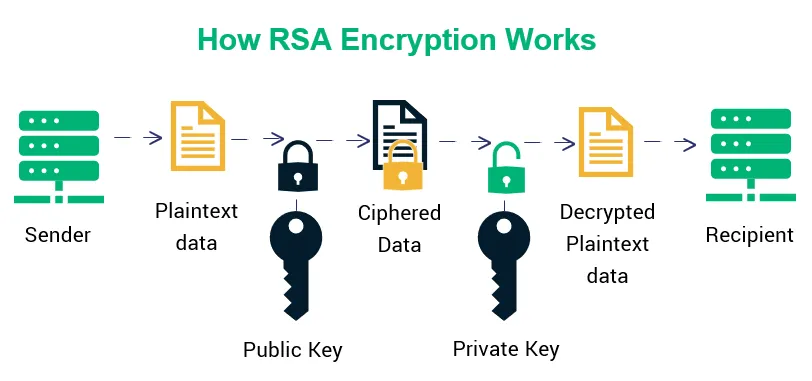 Secure Communication Between React Frontend and Node.js Backend Using RSA Encryption | by amit ...