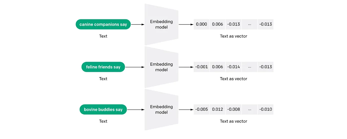 Complete Guide to Use One-Hot Encoding and Label Encoding | by Kamlesh Kumar Rangi | Medium