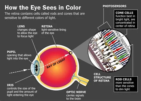 Color Terminology. This is a list of basic color theory… | by Erin S ...