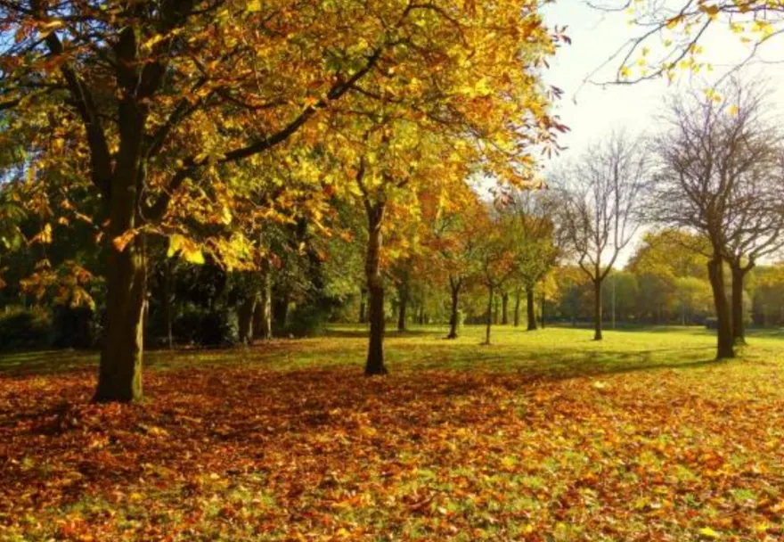 Algorithms don’t just show us content they shape our attention ...