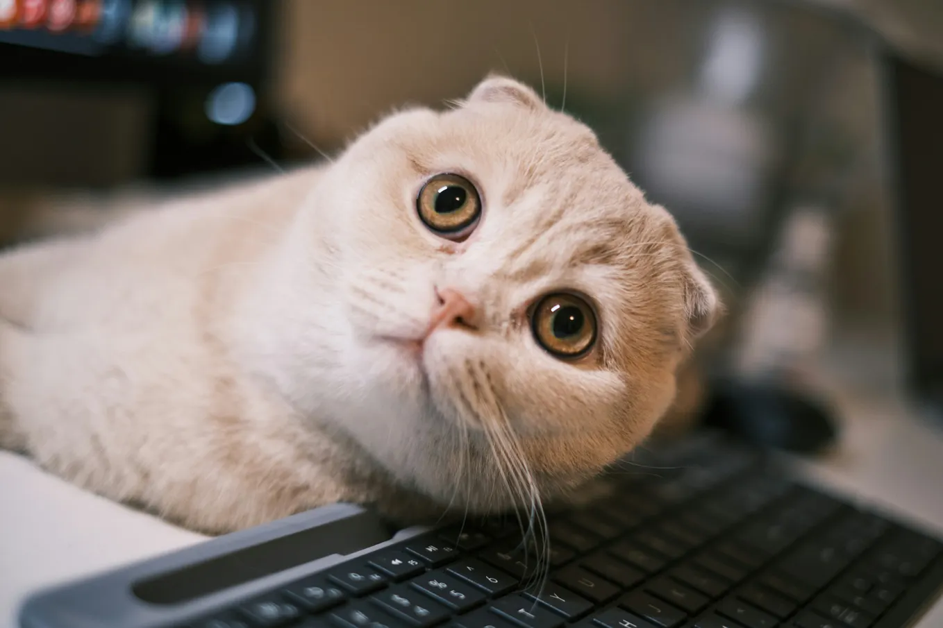 7 Reasons Why Coders Obsess Over “Foo” and “Bar” (And Why You Should ...