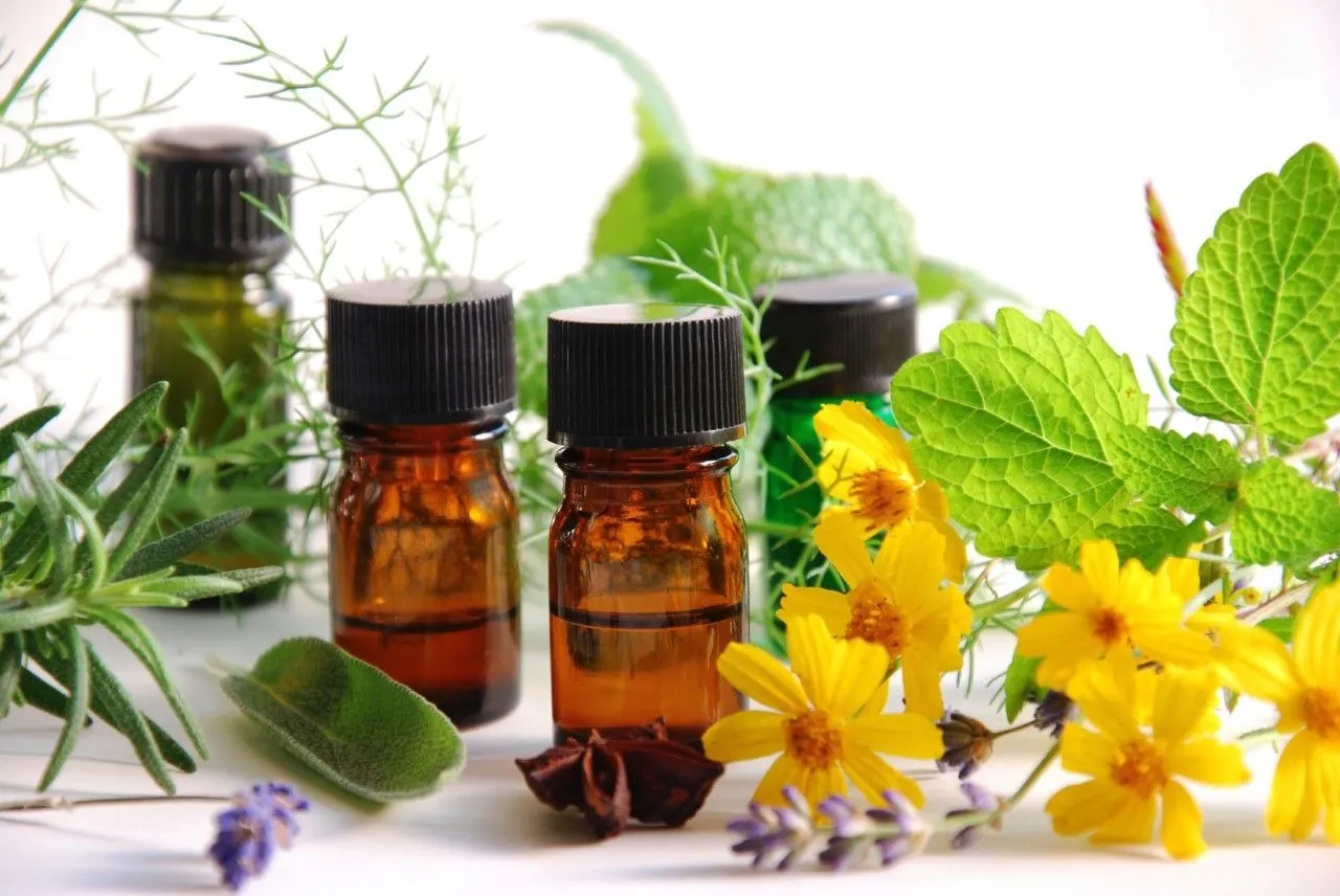How the Use of Essential Oils Positively Effect Different Aspects of ...
