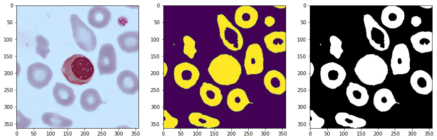 OpenCV: Image Histogram Calculations | by Sasani Perera | Medium