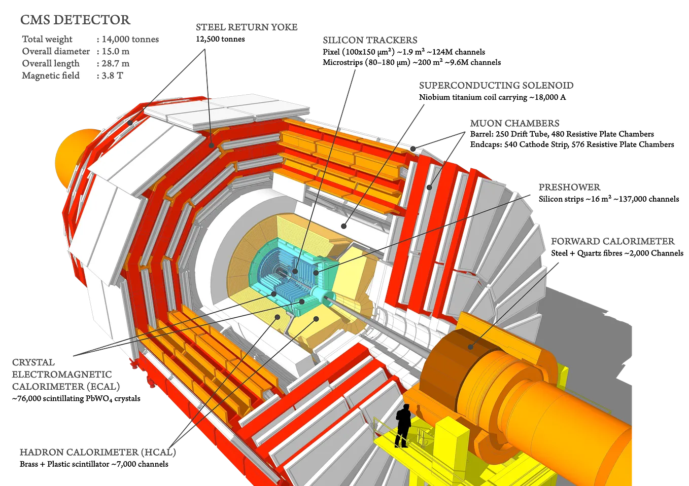 Building a Decision Tree From Scratch in Python: An Detailed Guide ...