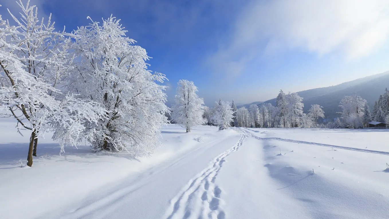 Error Object In Js Javascript Has A Built In Error Object By Deepak Kumar Singh Medium