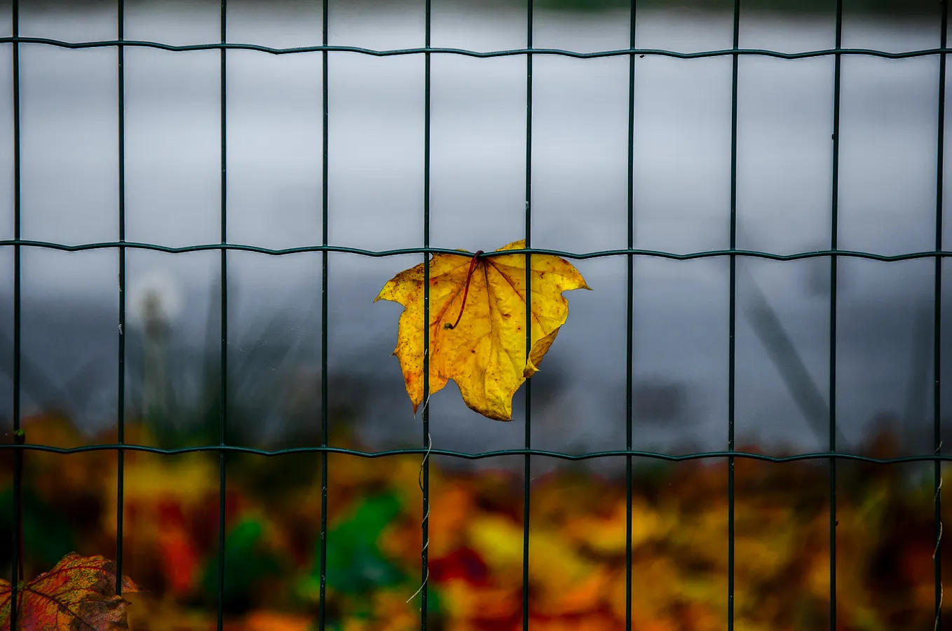 Generate JUnit 5 Reports in Java Projects | Dev Genius