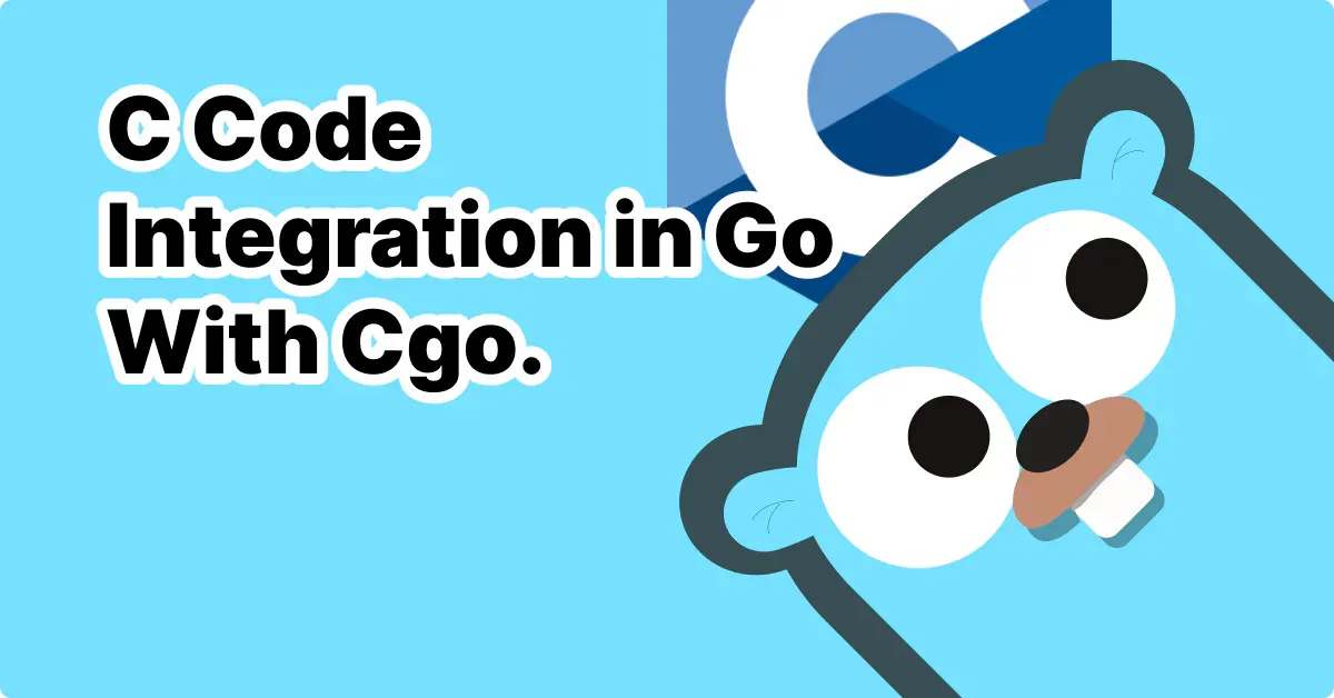 Golang — Understanding the Go Proxy Ecosystem | by Allen Ning | Medium