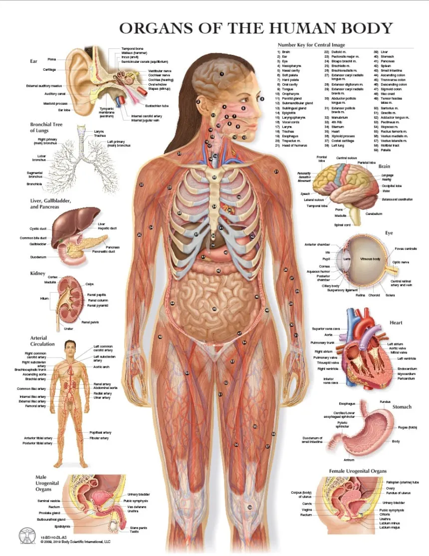 Technology is the application of scientific knowledge for practical purposes, especially in ...