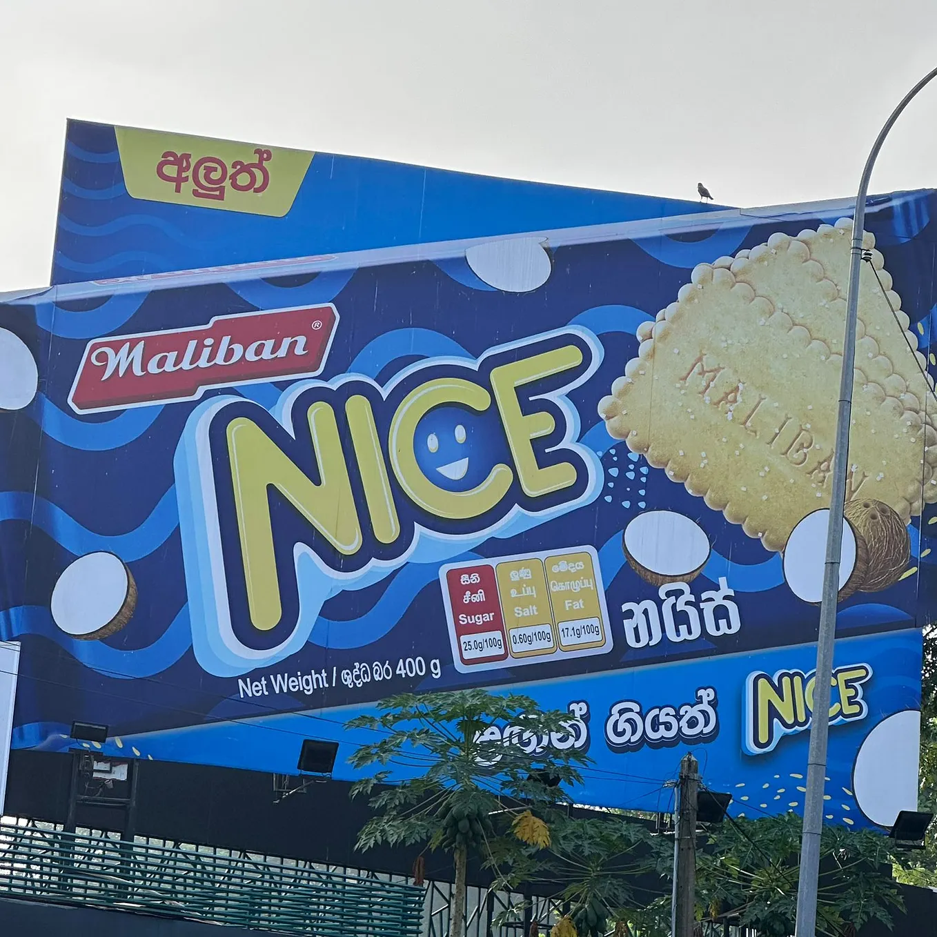 Sri Lanka’s Recovery After Cyclone Ditwah | by Nuwan I. Senaratna | On ...