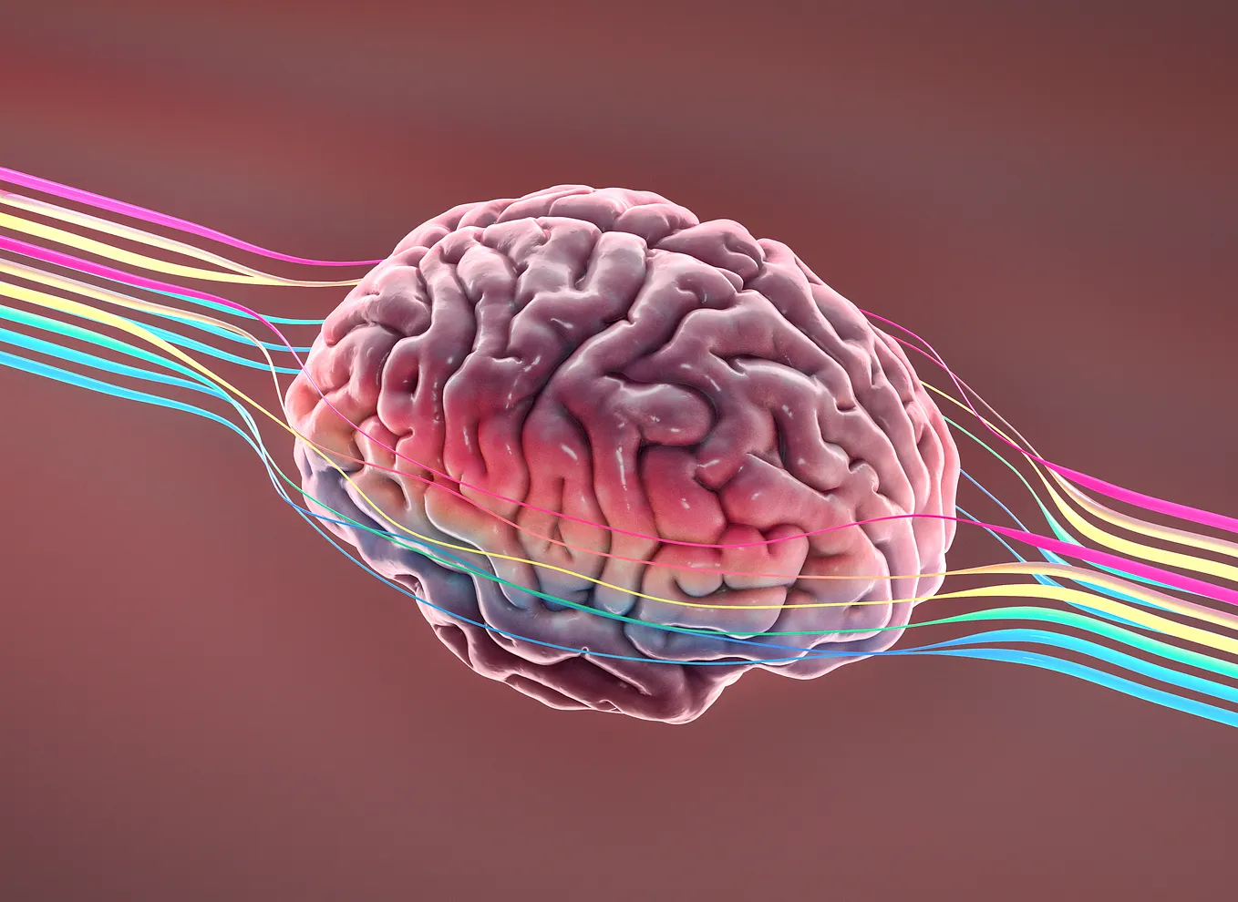 Is the Universe Real?. Rethinking the idea that makes you… | by Brian ...