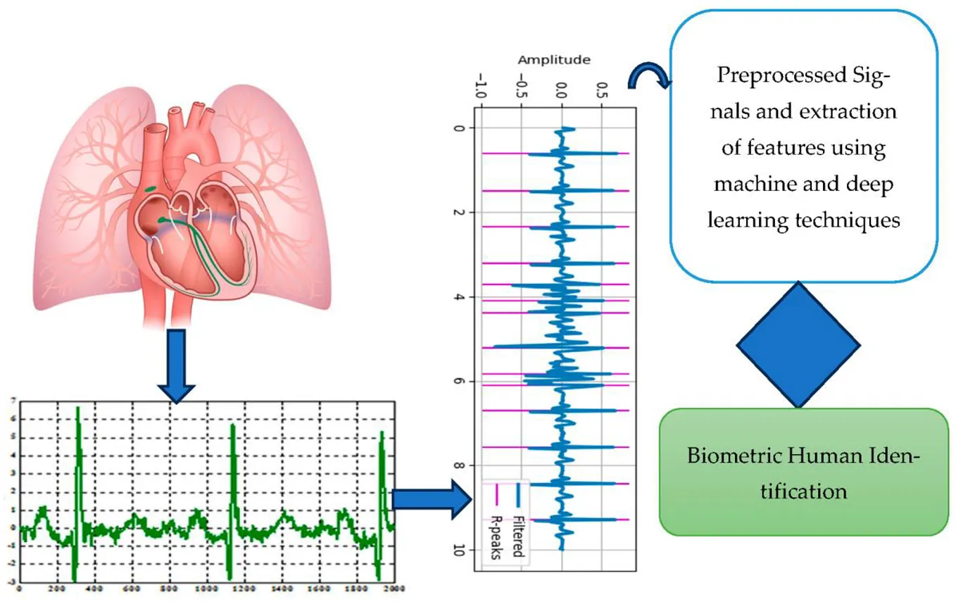 Characteristics of Sound. Sound is all around us, shaping how we… | by ...
