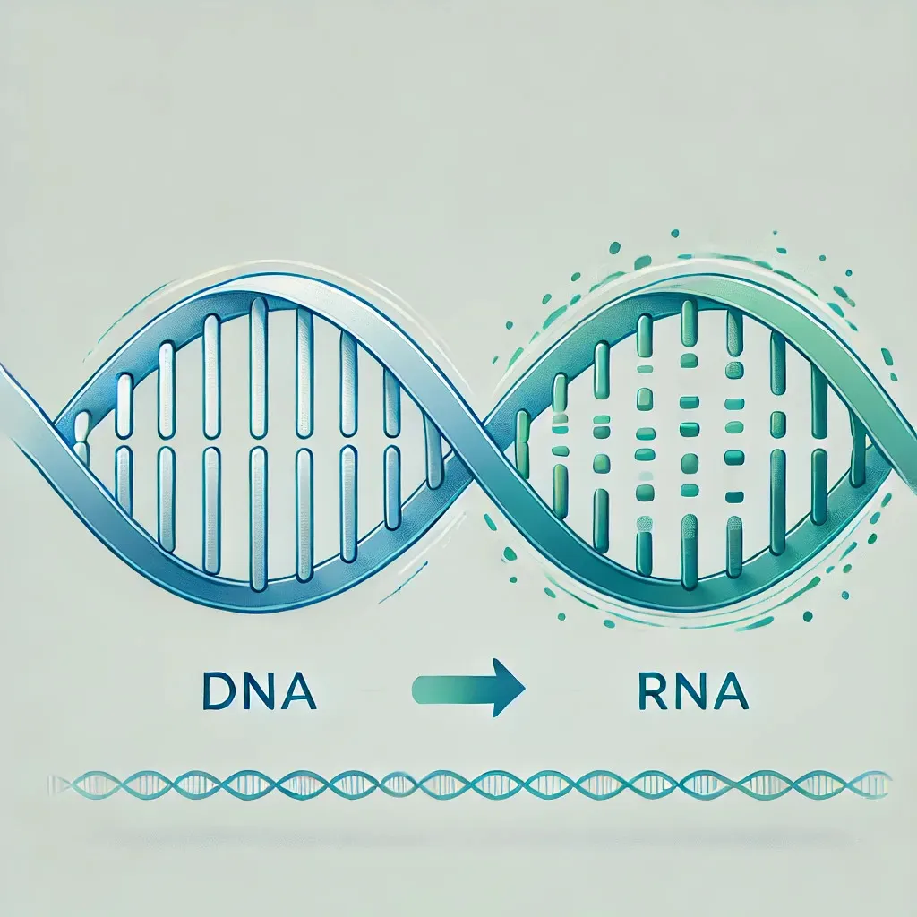 Bioinformatics with Python 101: Counting Nucleotides in a DNA Sequence ...