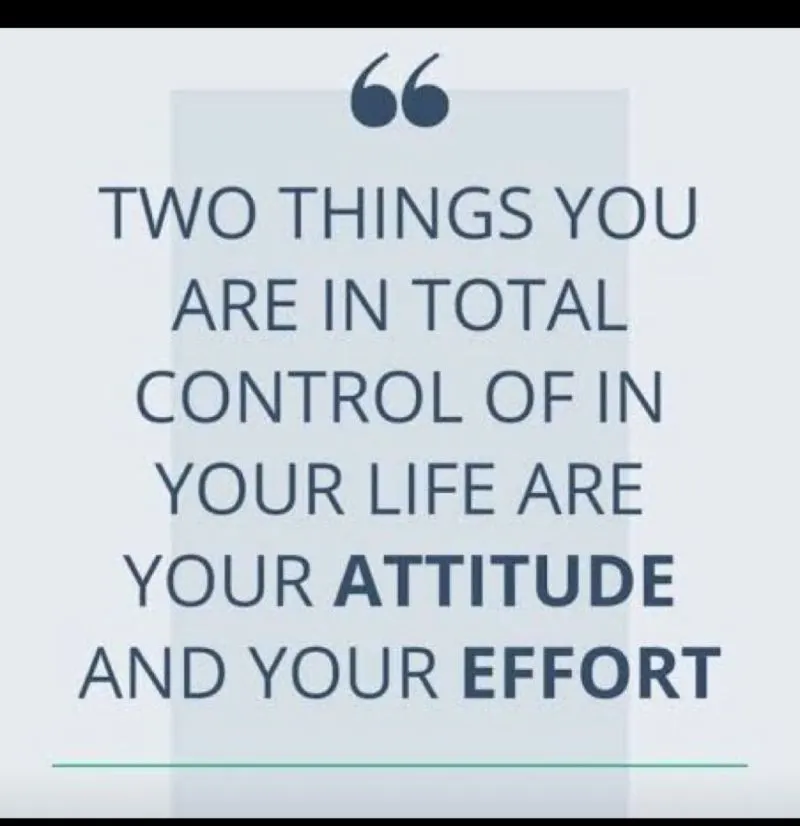 Woman’s Nightly Python Companion: Vet Reveals Startling Truth | by ...
