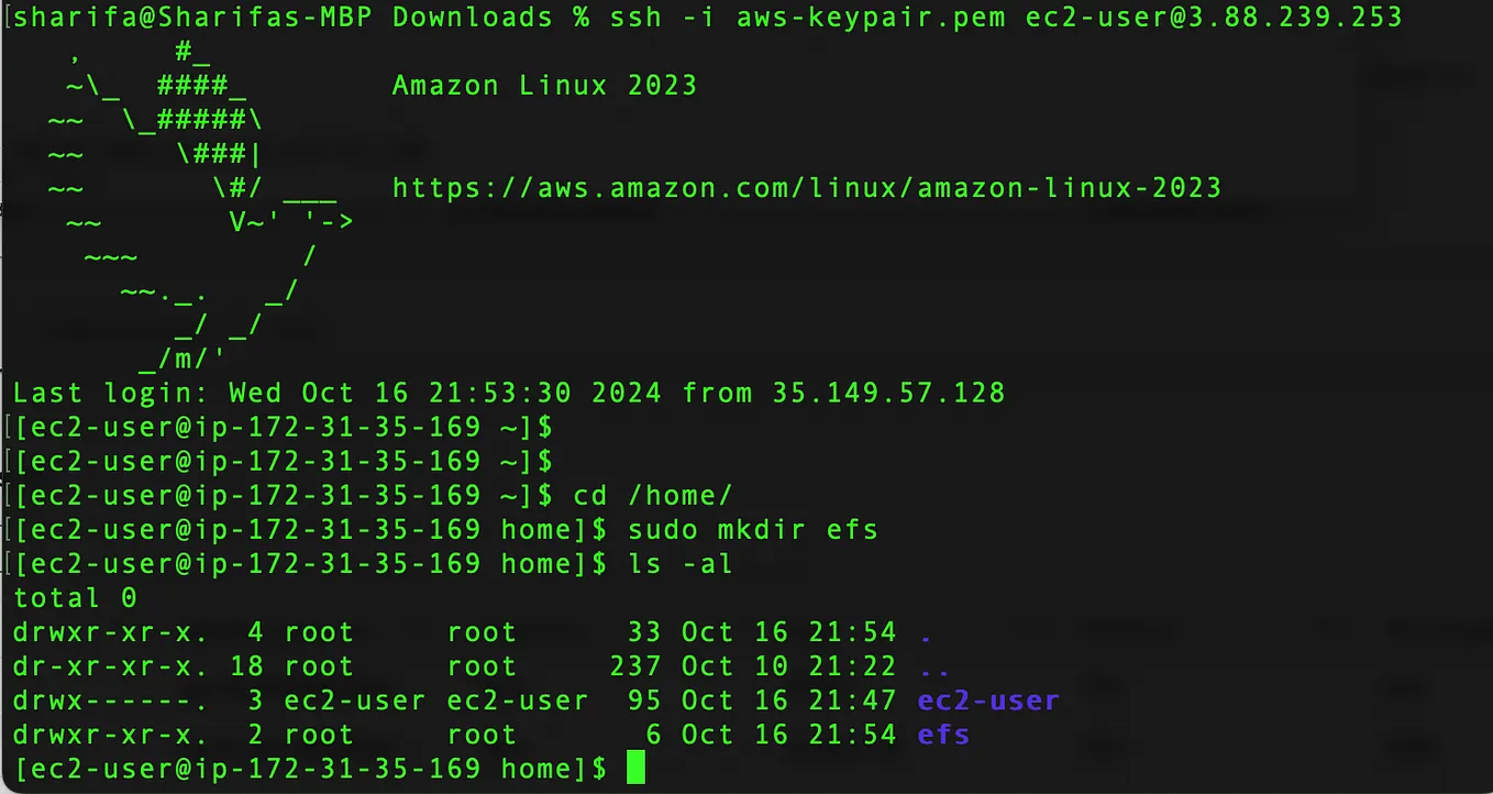How to Check If the Hostname Is Persistent in Your AWS EC2 Instance ...