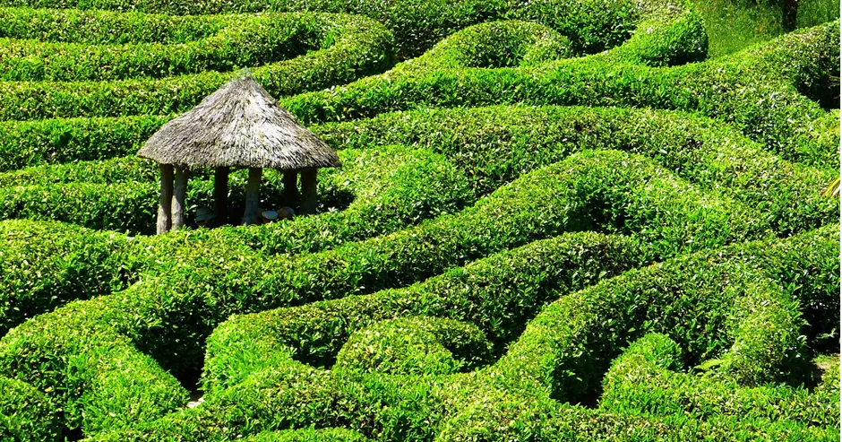 Reinforcement Learning and EDA: Part 1 | by Chandra M | Medium