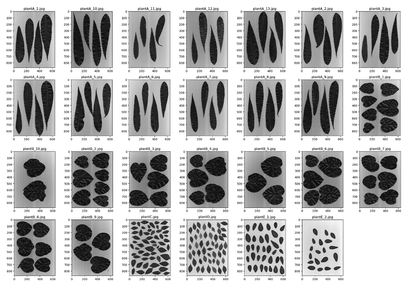 Template Matching. Template matching in image processing… | by Vanessa ...