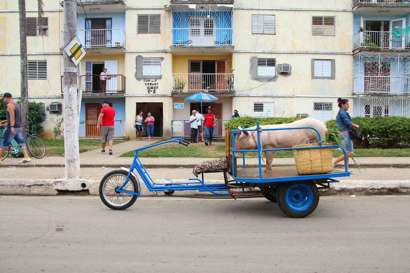 ¡Coño!: The All-Purpose Cuban Expression | by Eunice Rabert Hernández ...