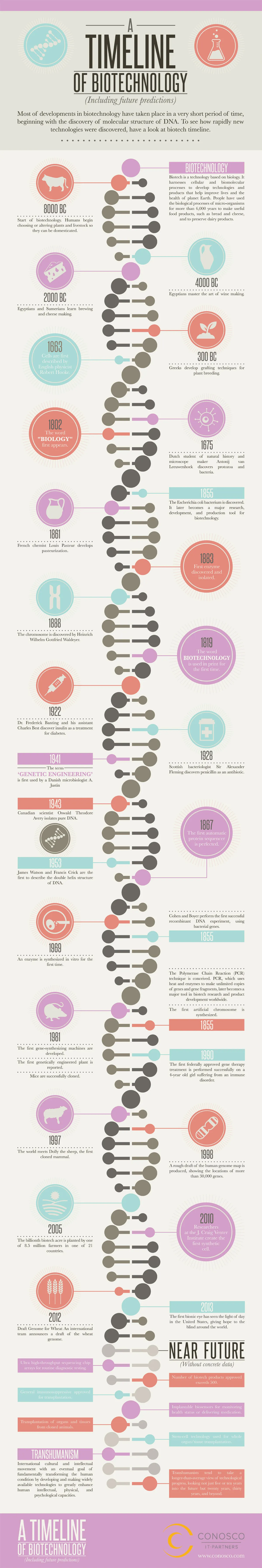50 Travel Facts That Will Blow Your Mind (Infographic) | by Joe ...