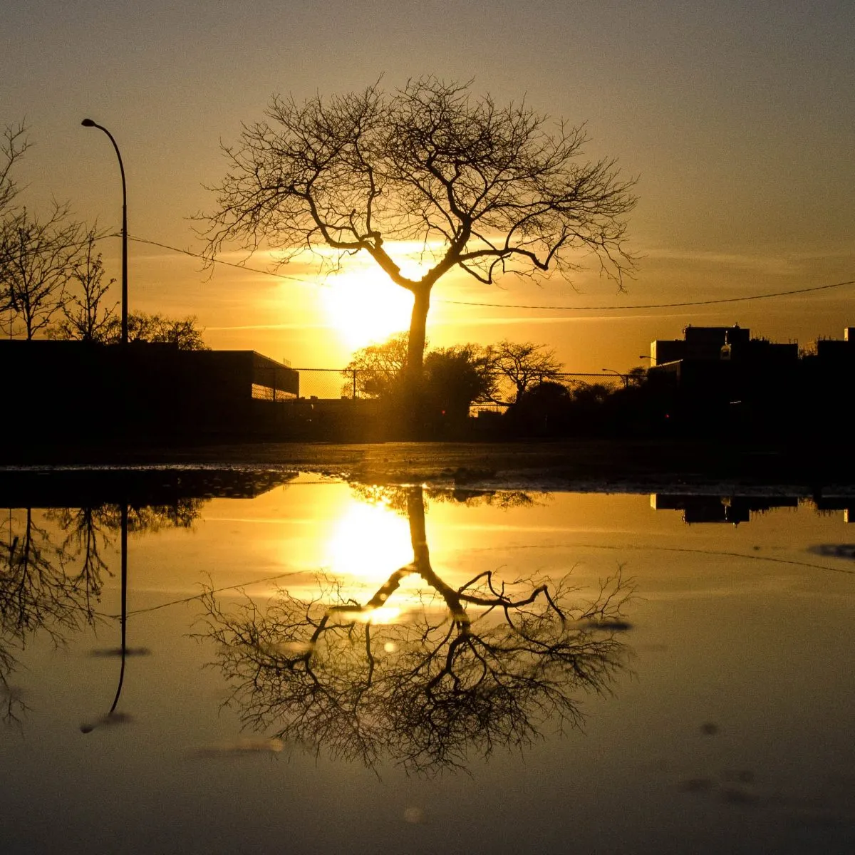 Multi-Threading vs Asynchronous programming. What is the difference ...