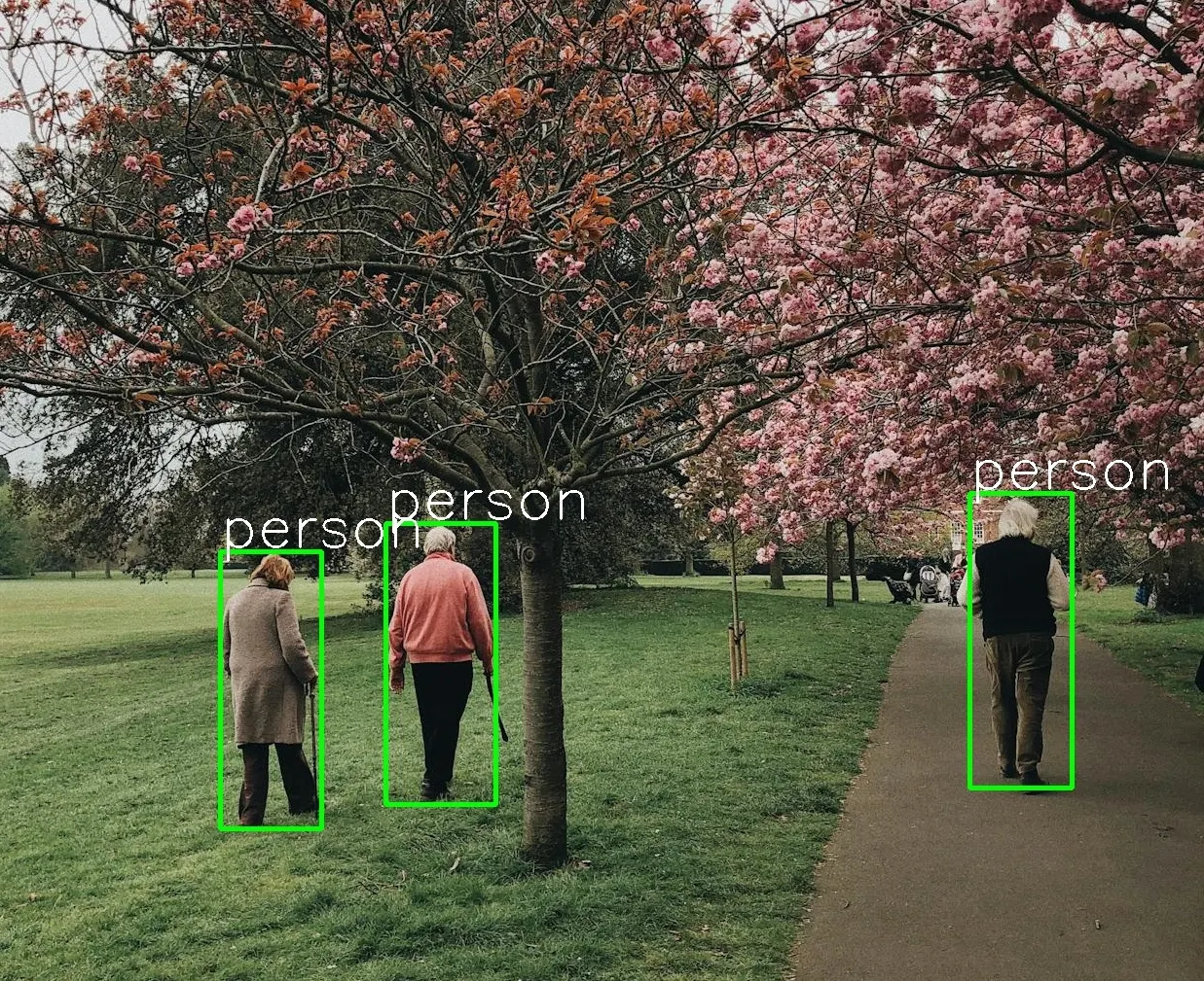 Guide For Training Custom Faster Rcnn Object Detection Models With Pytorch By Siromer Medium