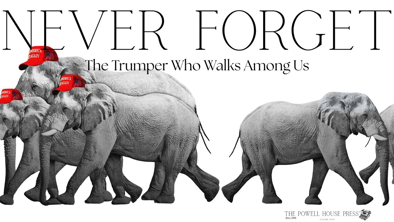 How the ‘Gipper’ Dismantled Media Safeguards and Planted the Seeds of ...