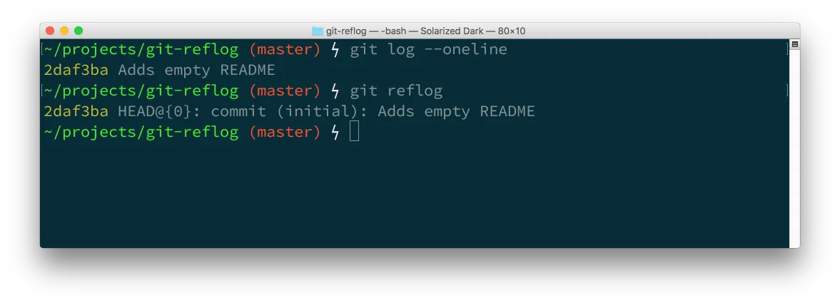 Configuring Ollama AI LLM on an EC2 instance in AWS | by Fernando ...