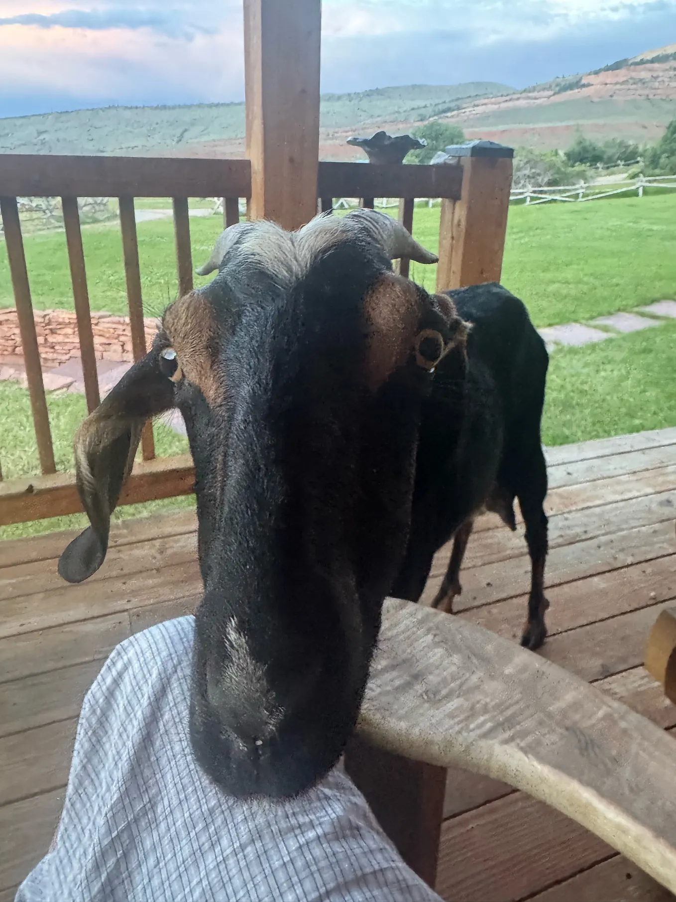 Toyota is doing the same thing. | by Jan Otto | Nov, 2025 | Medium