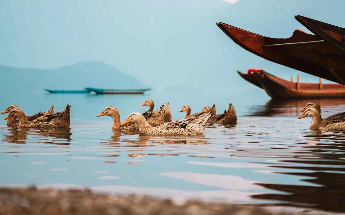 Easy automated testing in Databricks | by Jimmy Jensen | Medium