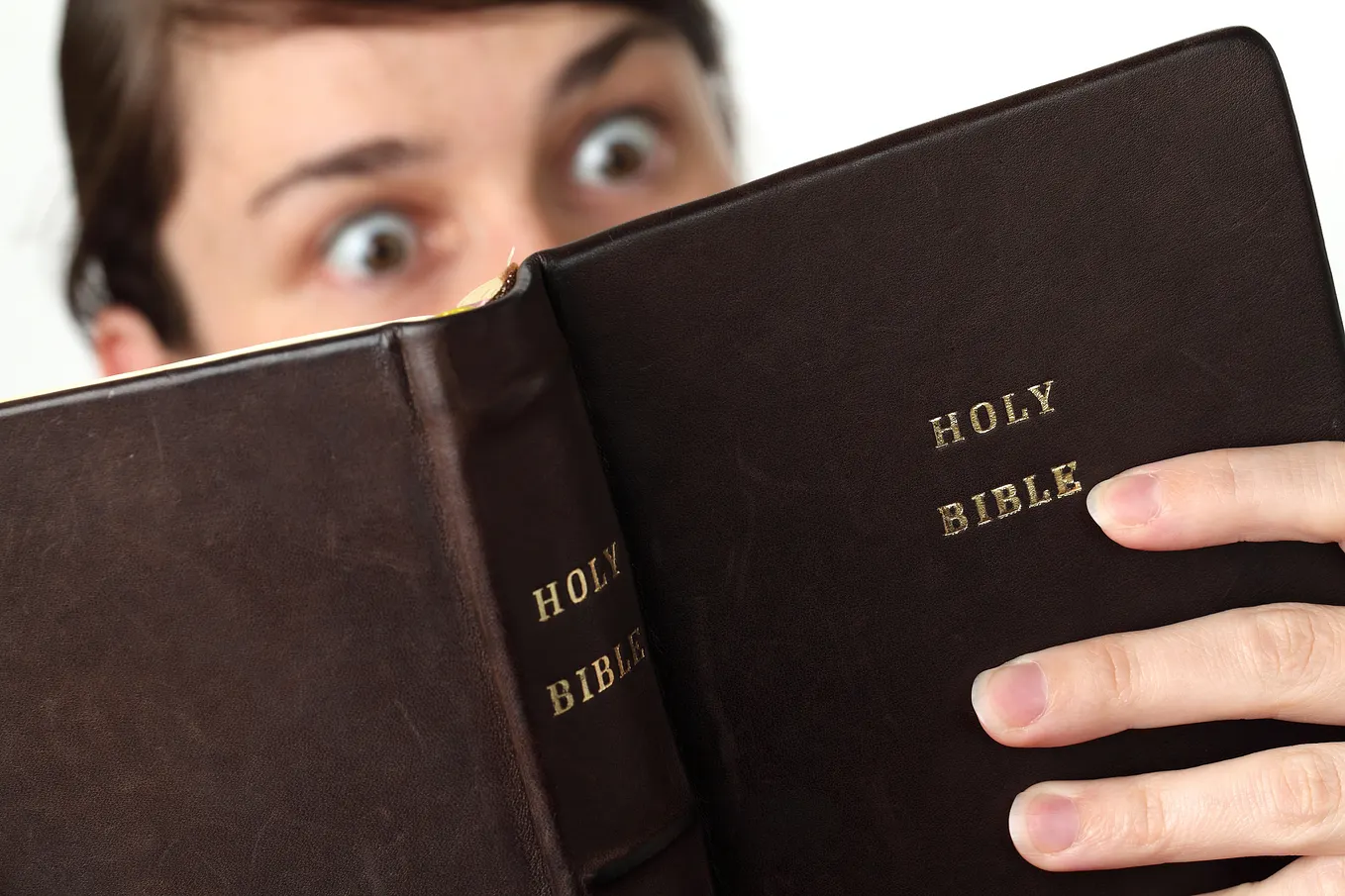 How to Create Your Own Religion From Scratch | by Dan Foster | Backyard ...