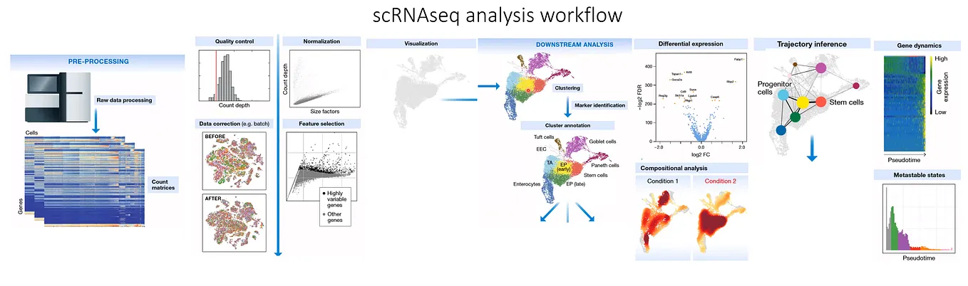 A Beginner’s Guide to ChIP-Seq Data Analysis | by sezer islambey | Medium