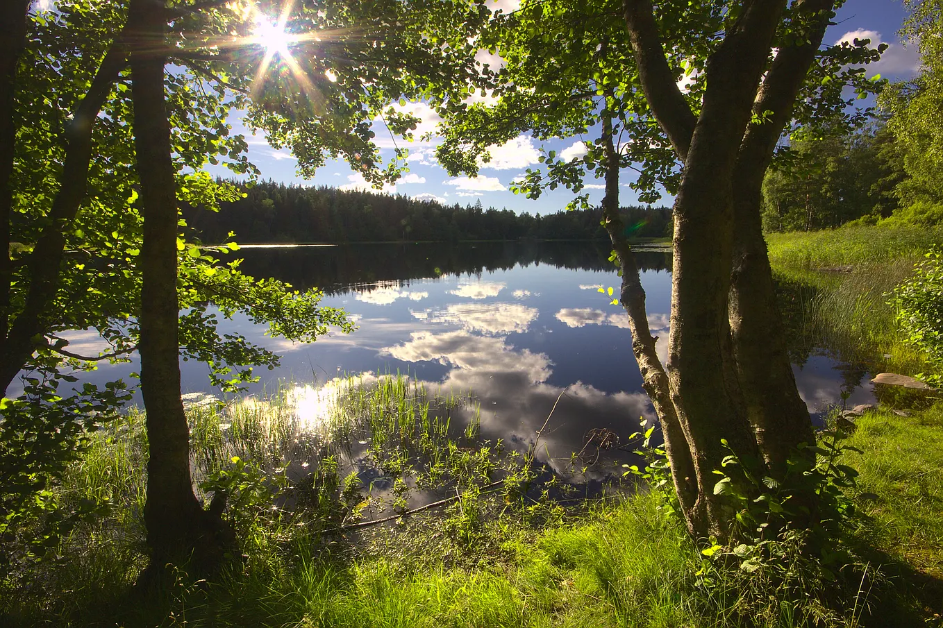 Generate powerpoint presentations with python | by Najeem Muhammed | Medium