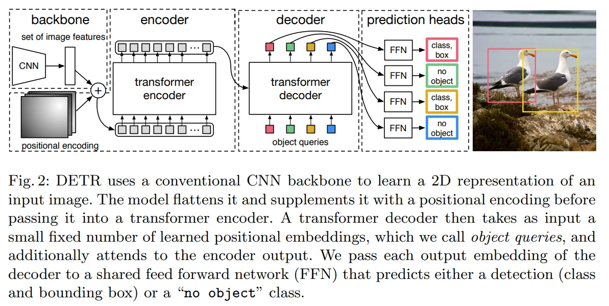 Vision Transformers vs. Convolutional Neural Networks | by Fahim ...