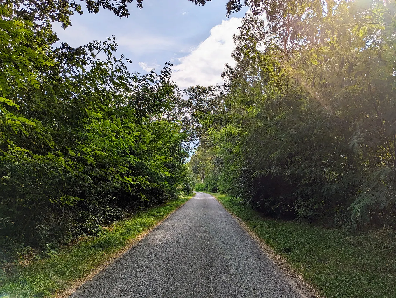 Use Python to Streamline Your Agisoft Metashape Workflow: Part I | by ...