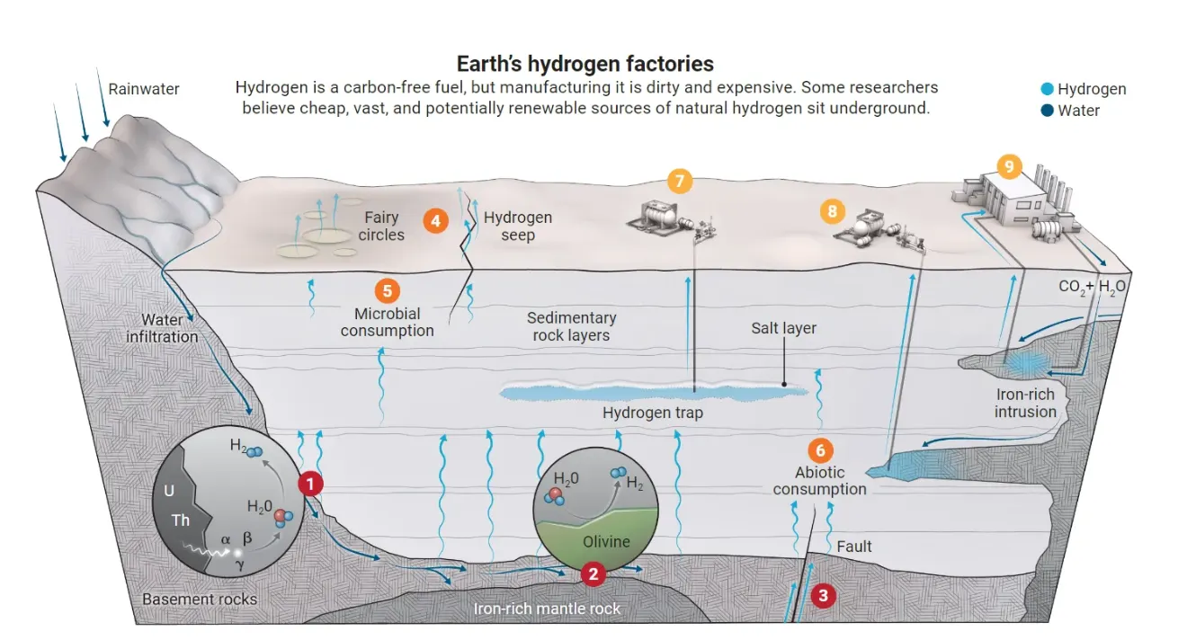 Why We Invested in Holobiome: A Visionary Step into the Future of ...