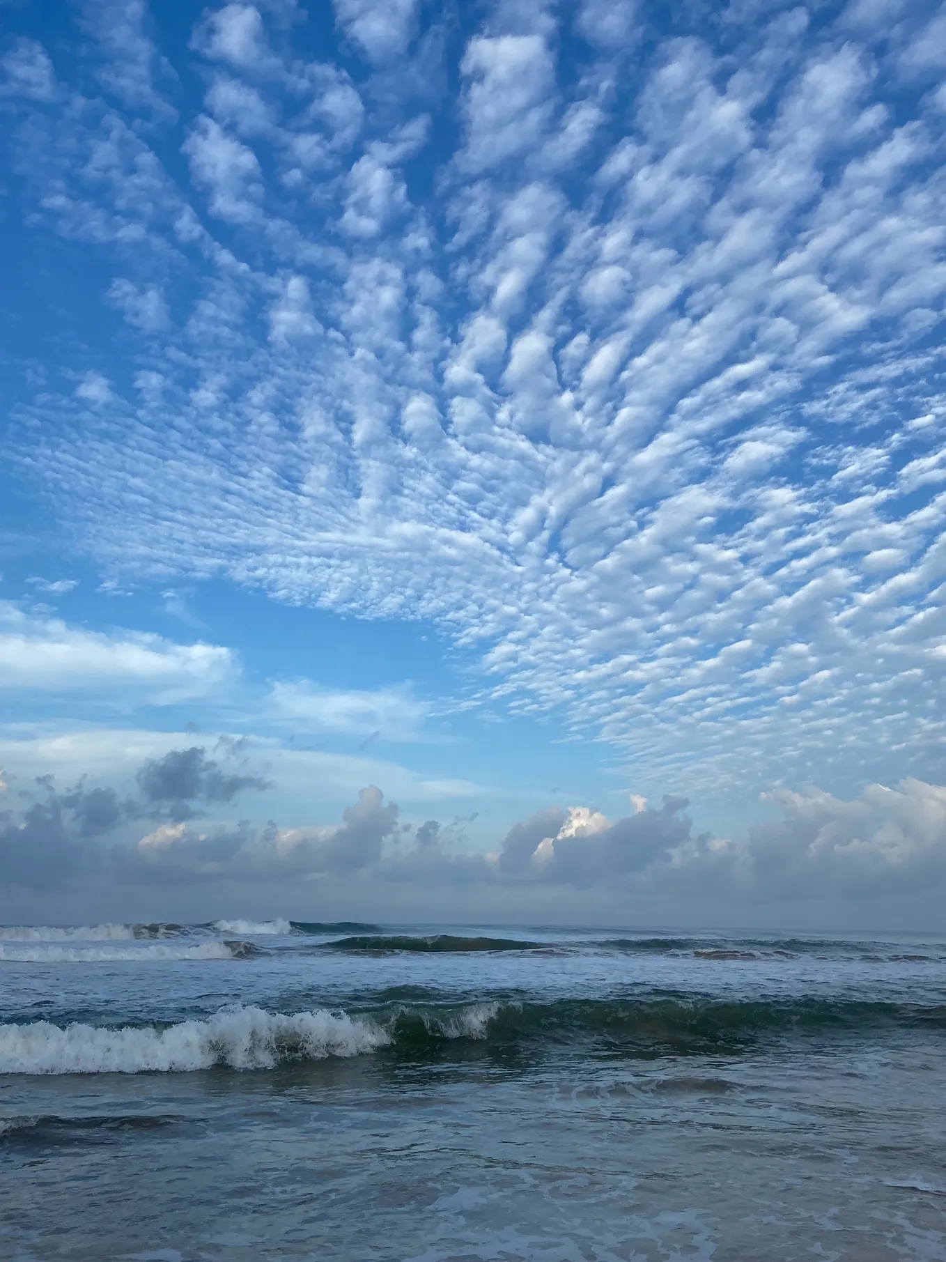 Slow Down. Slow Down | by Buddhi Ruparathna | Dancing Elephants Press ...
