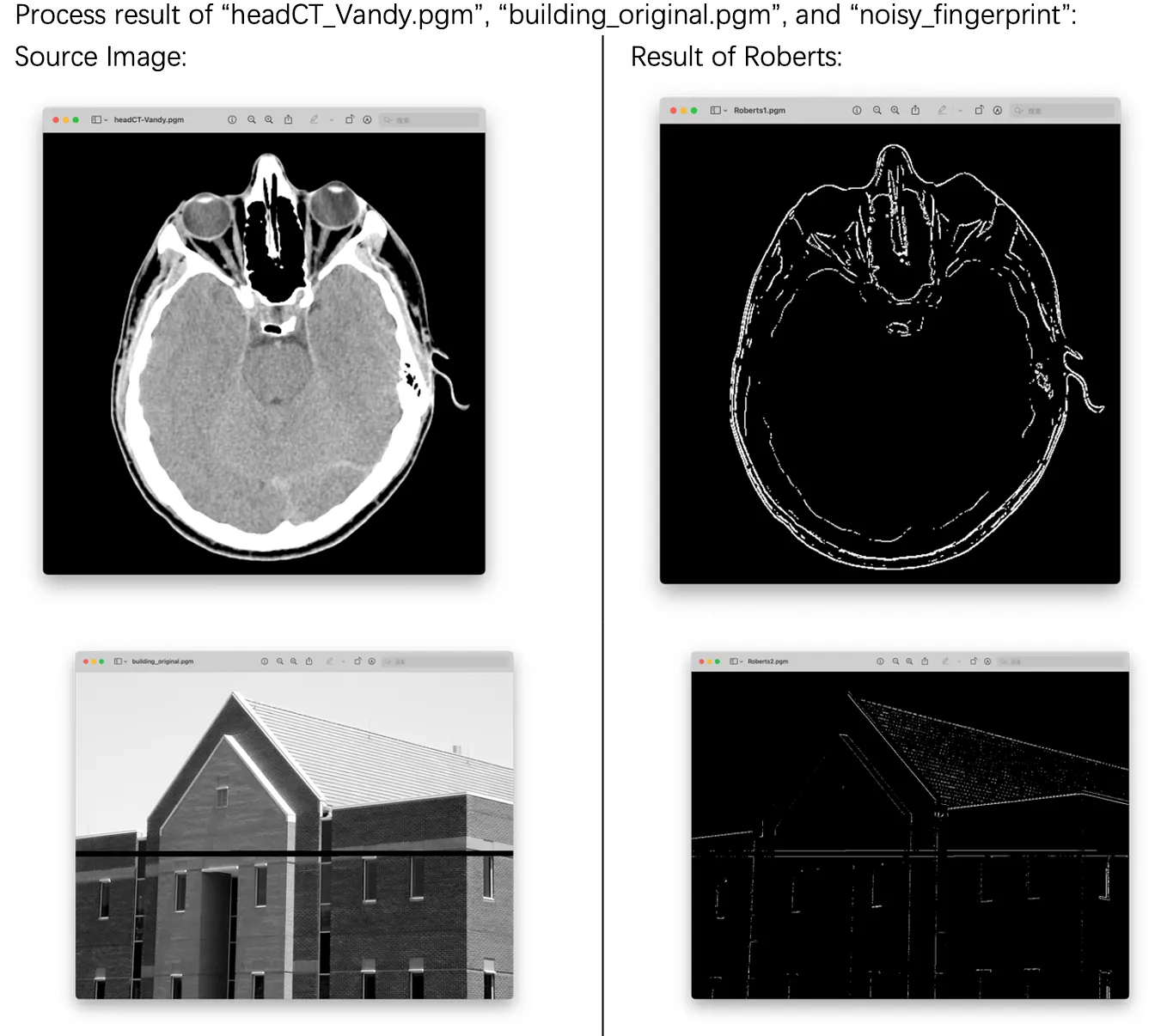 Digital Image Processing in C (Chapter 4): Edge Detection, Laplacian, Sobel, Gamma Correction ...