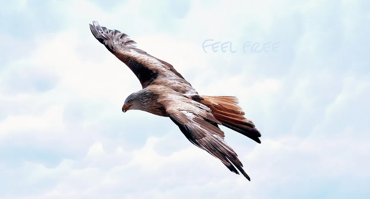 Relationships first – the nonlinear way of addressing great challenges ...