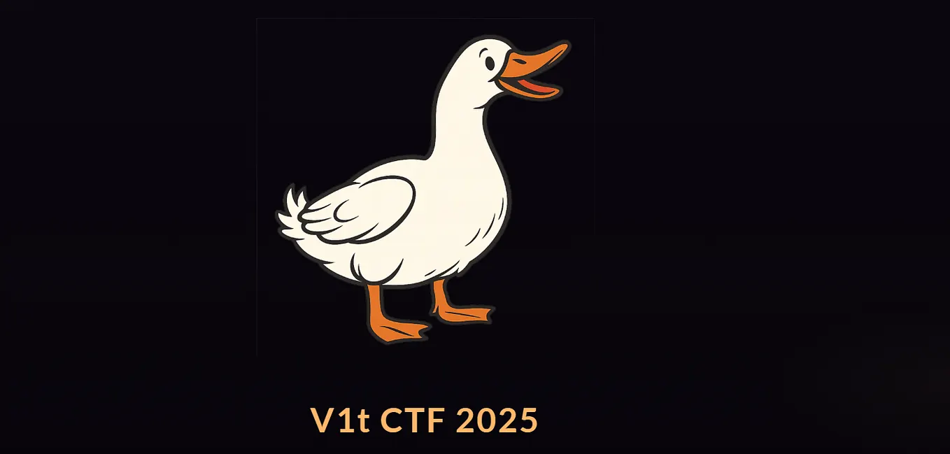 QnQSec CTF 2025 — Reverse Engineering Writeups | by Talal Ali Khan | Medium