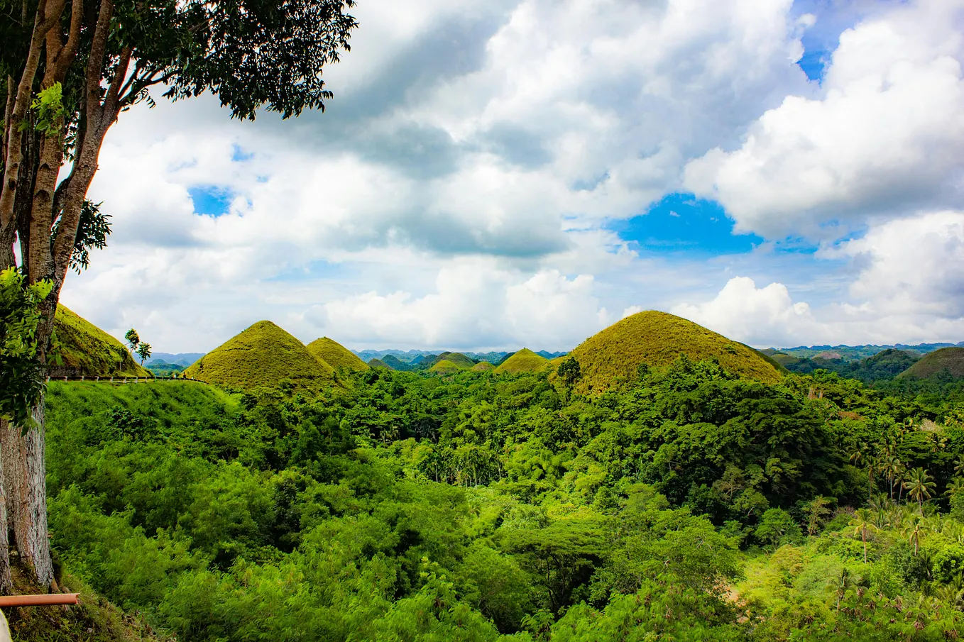 Why Bohol Is Too Expensive — And Why DIY Travelers Shouldn’t Be Blamed ...