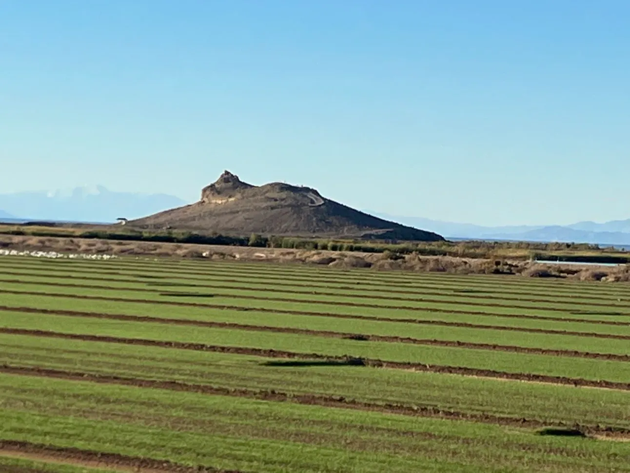 Geographic context indicates a Baja California/Southern California ...